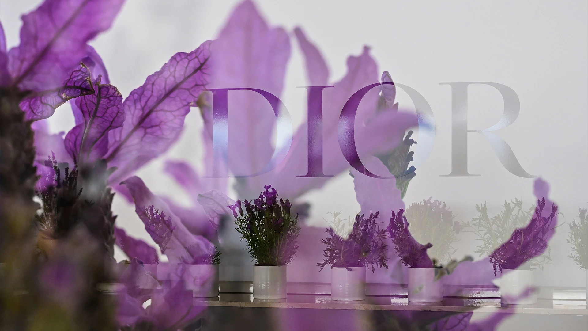 Dior Parfums - Celebration Event - Event Plus